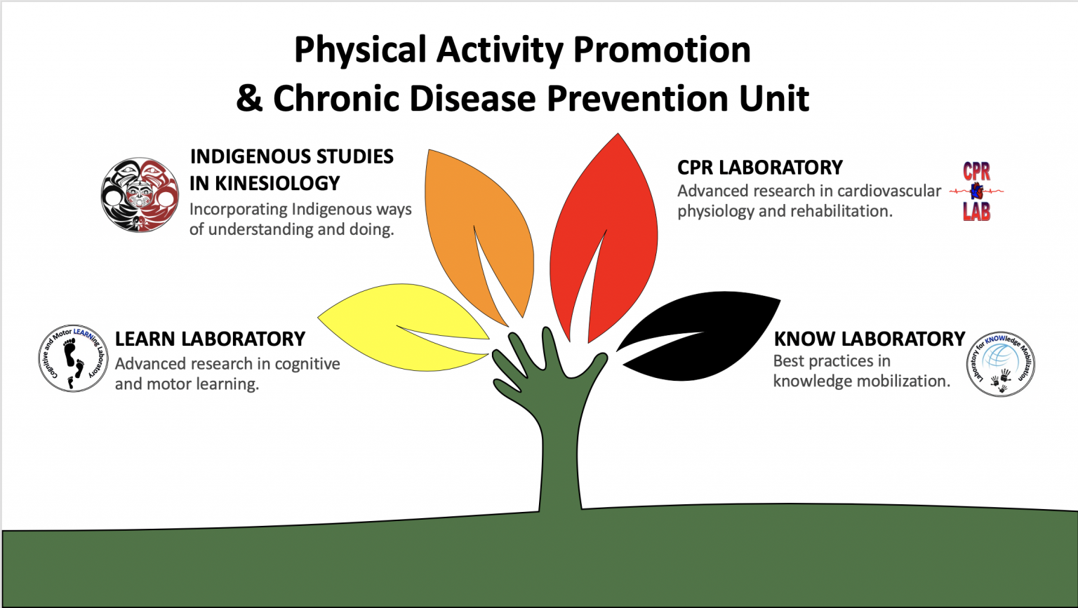 About | Physical Activity Promotion and Chronic Disease Prevention Unit